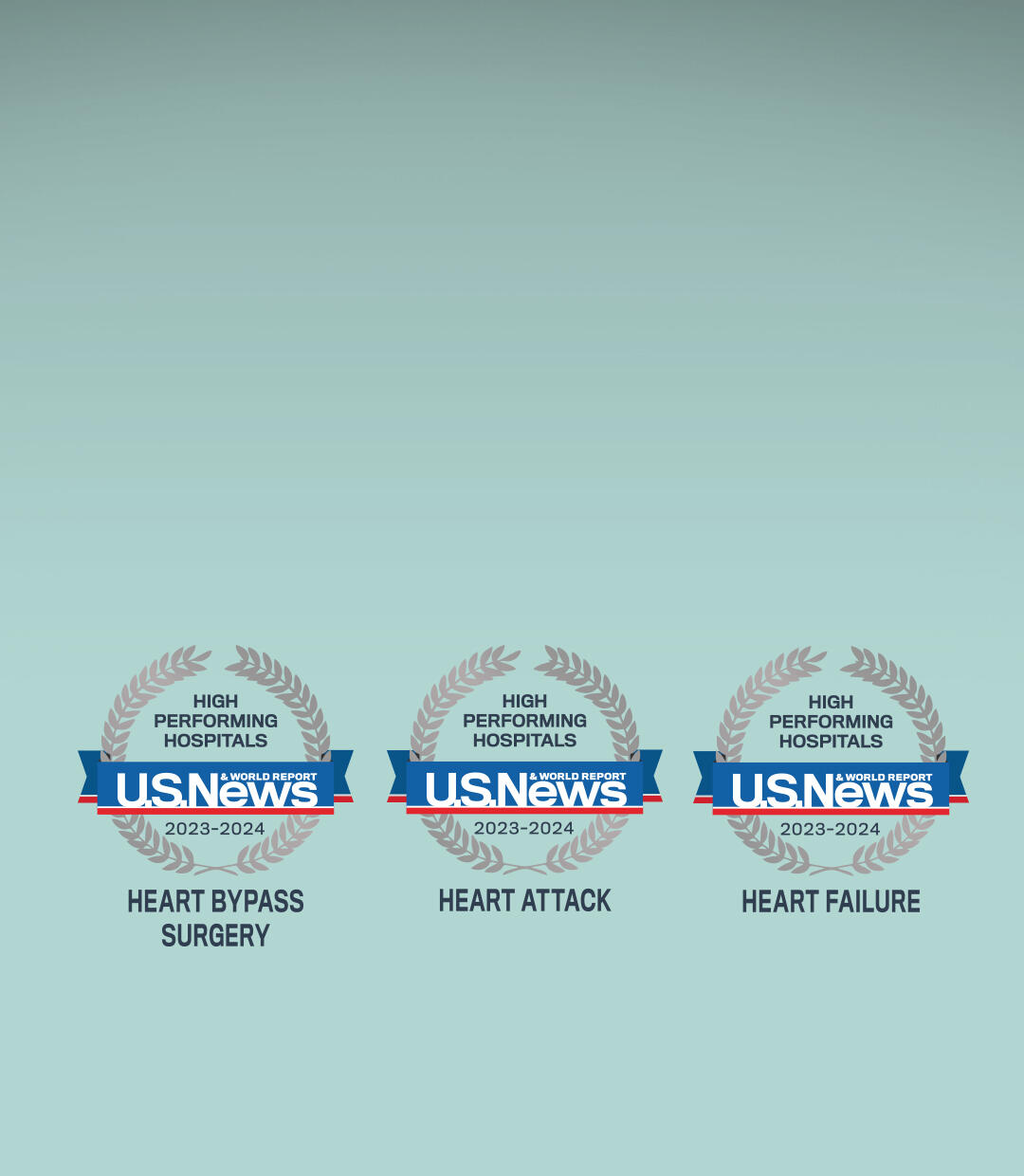 Stony Brook Heart Institute | Stony Brook Heart Institute